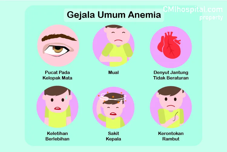 Umum - Anemia Aplastik, Pemicu Kanker Darah pada Anak - Cmihospital